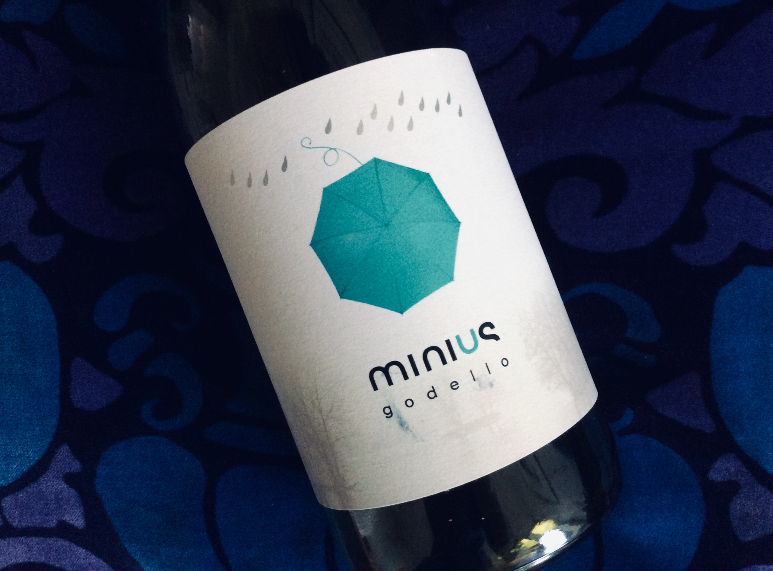 2018 Bodegas Valminor Minius Godello Monterrei – Cognitive Bottle Therapy